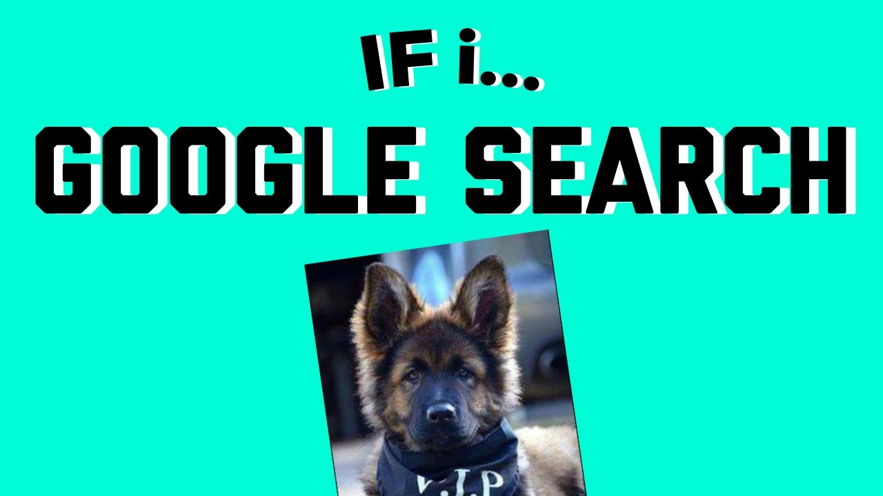 If I google search dogs and see a cat, the video ends. - Google search ...