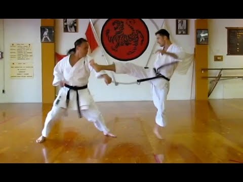 KARATE - TAKEDOWN TECHNIQUE VS FRONT KICK Drill - David Takishita & Nikola Nikolov