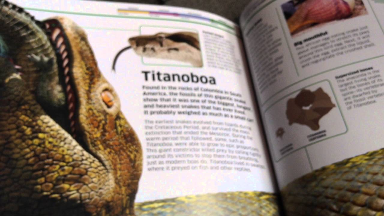 Magic Dino book Titanoboa - YouTube