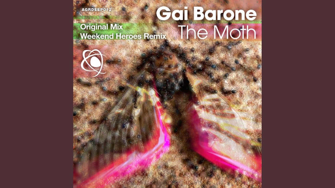 The Moth (Weekend Heroes Remix) - YouTube