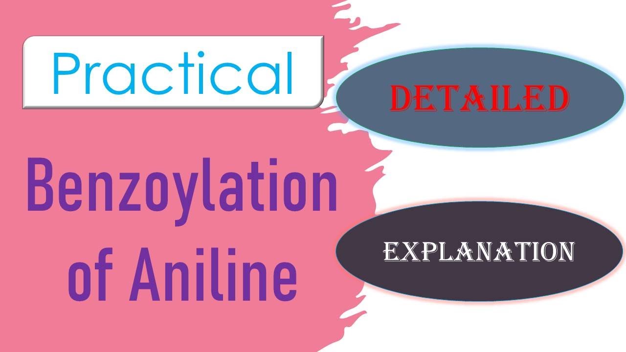 Benzoylation of Aniline || Dr. Bharat Baria - YouTube