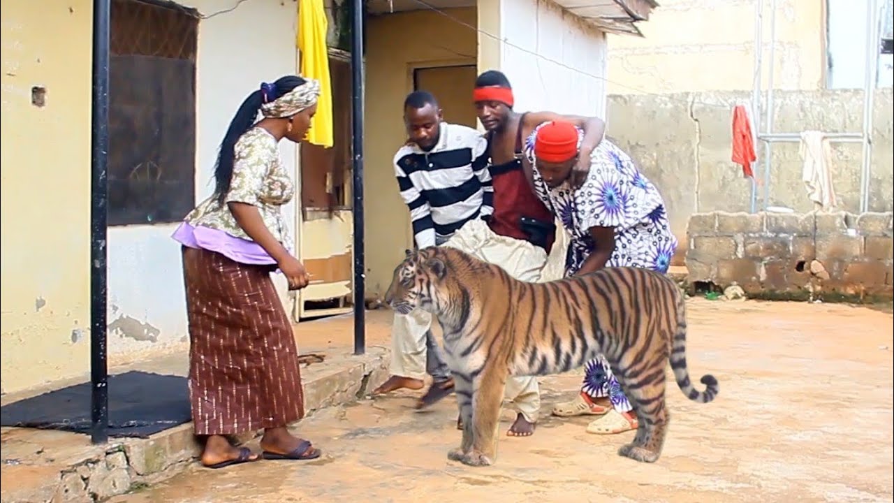 Dan Sholi zai koma jinsin dabbobi, zai auri damisa, dariya dole sabon ...