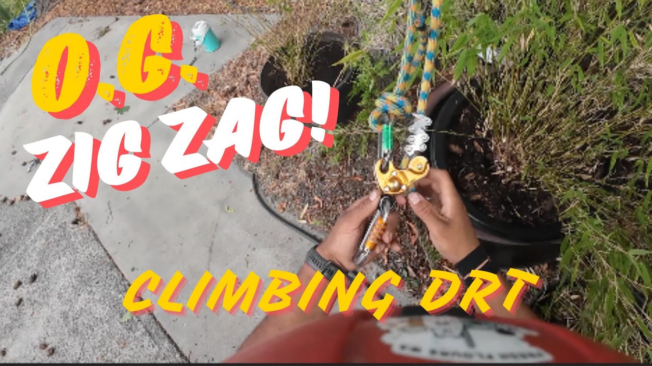 Quick Climb. Tree Pruning House Clearance (Certified Arborist) - YouTube