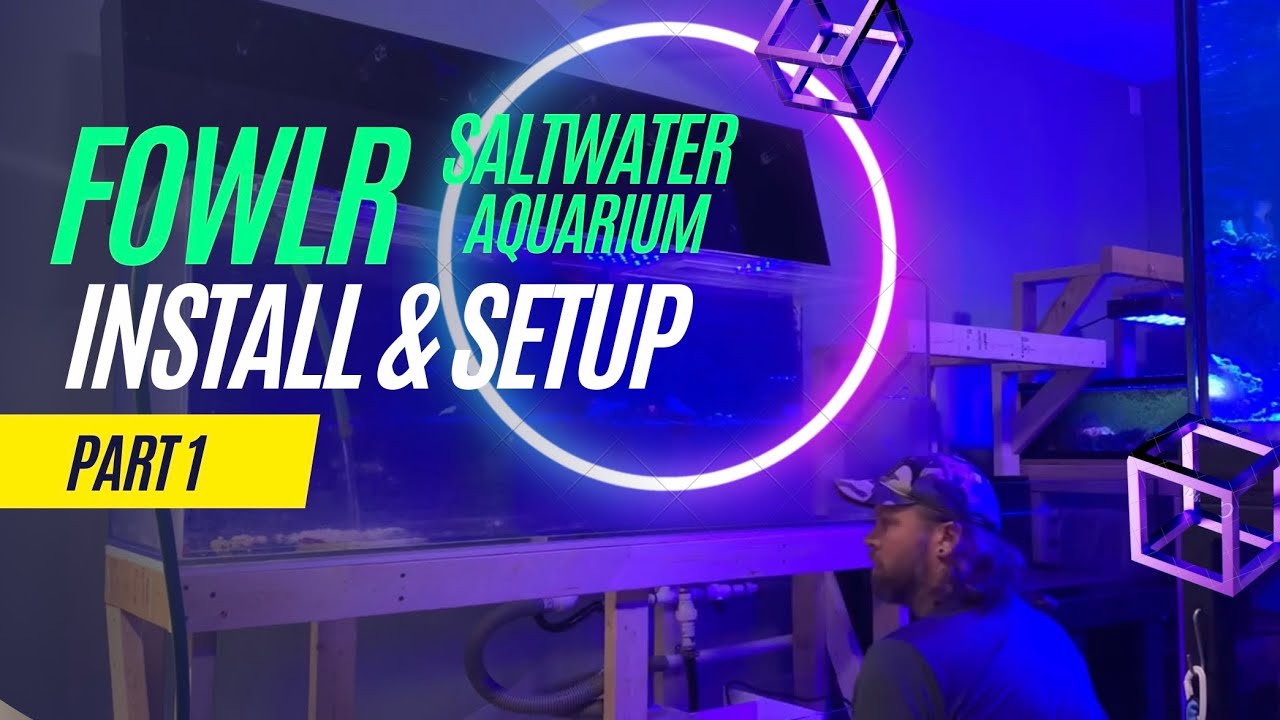 FOWLR Saltwater Aquarium Setup (150/40 gallon) w/ sump - YouTube