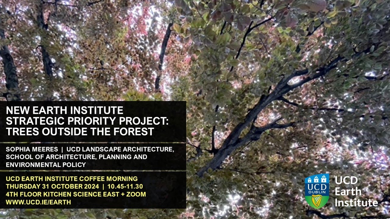 New UCD Earth Institute Strategic Priority project: Trees outside the Forest by Sophia Meeres ...