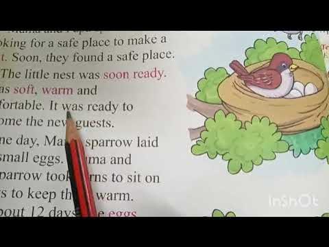 The Sparrow Family (Lesson -3)English book -Imagination -1 #study# ...