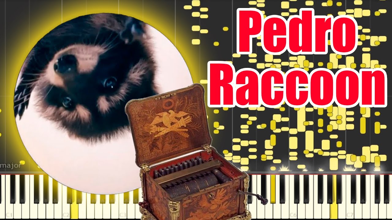 Pedro Raccoon dancing but it's Music Box MIDI (Auditory Illusion ...