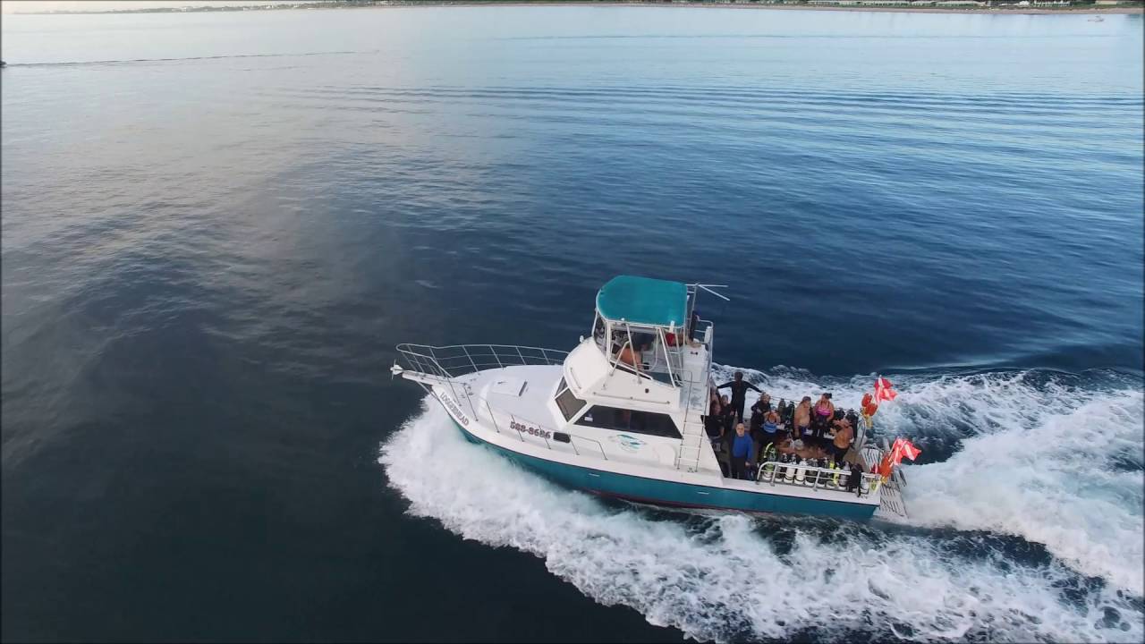 Loggerhead Dive Boat - YouTube