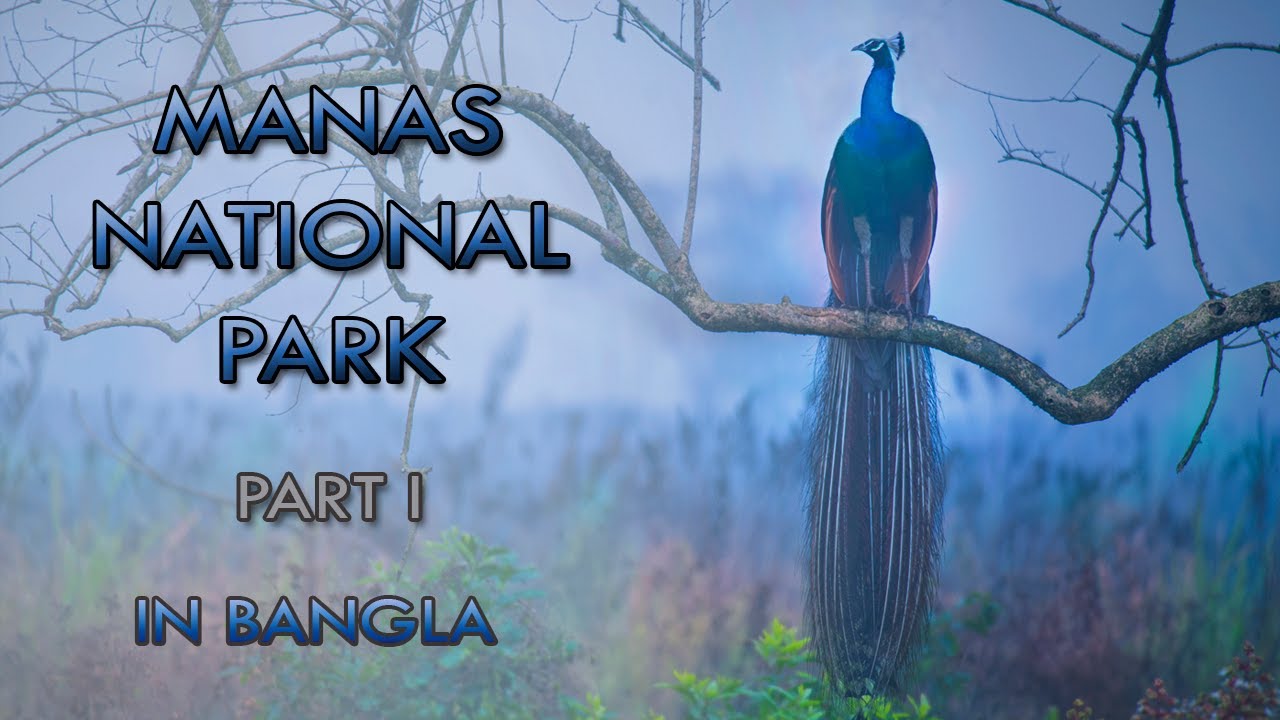 Manas National Park - Heaven of wildlife and landscape - Part I - YouTube