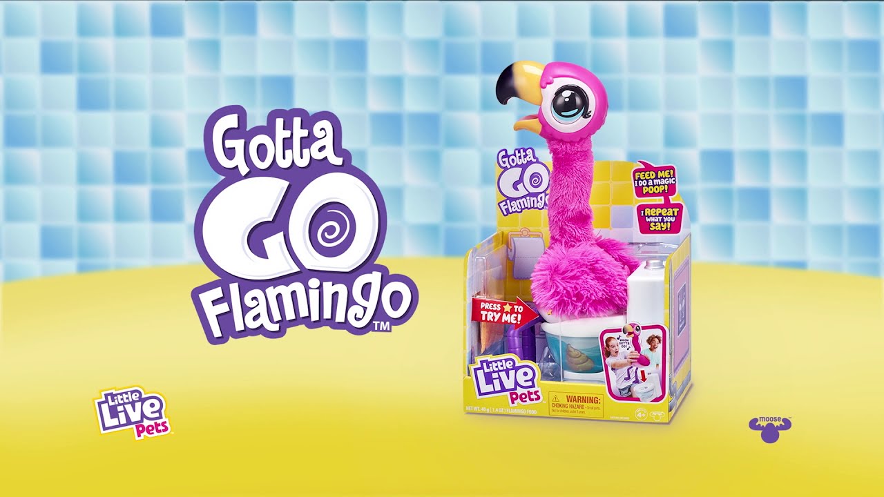 Little Live Pets | Gotta Go Flamingo | TVC 30 - YouTube