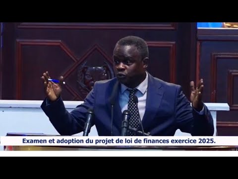 🛑Projet de loi des finances exercice 2025.L'honorable GARRY SAKATA a ...