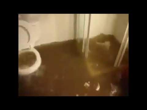 PIPI POPO CHECK - YouTube