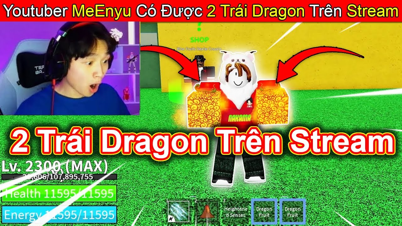 Tôi Có Được 2 Trái DRAGON Trên Stream ( MeEnyu ) // Blox Fruits - YouTube