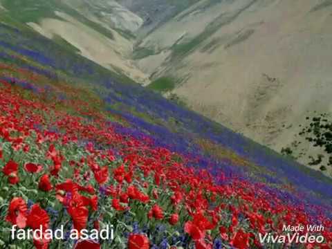 Aman daglar Tagı Salehoglu