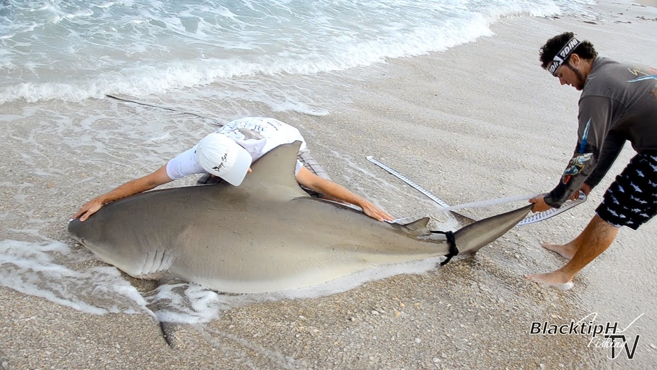 2013 Blacktip Challenge Preview - YouTube