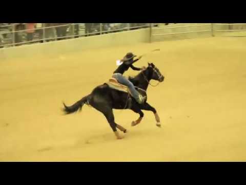 RODEOS AND PANTYHOES - AMARA REYAL FT. DONN.CHII - YouTube