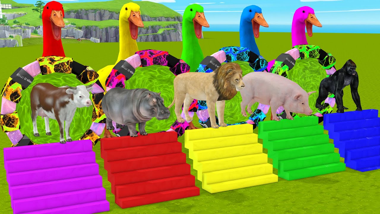 Cow mammoth gorilla Lion hippo pig overcome stairs and obstacles ...