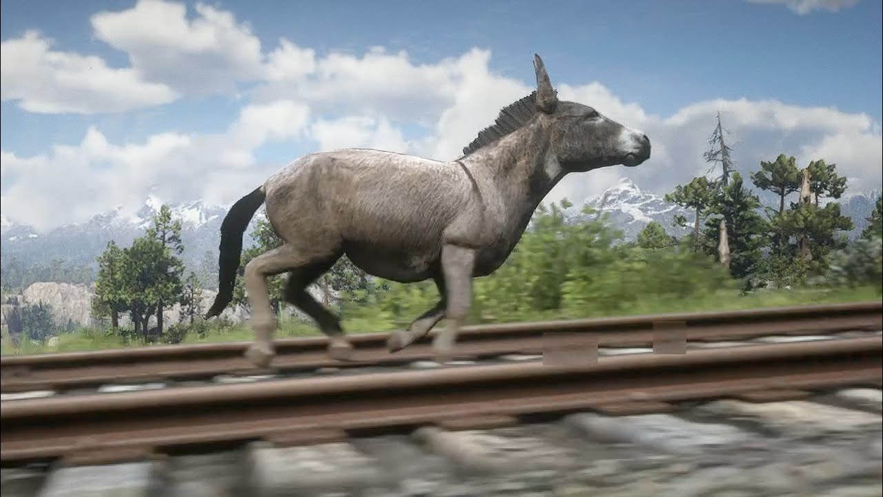 Donkey - Red Dead Redemption 2 - Donkey herd - YouTube
