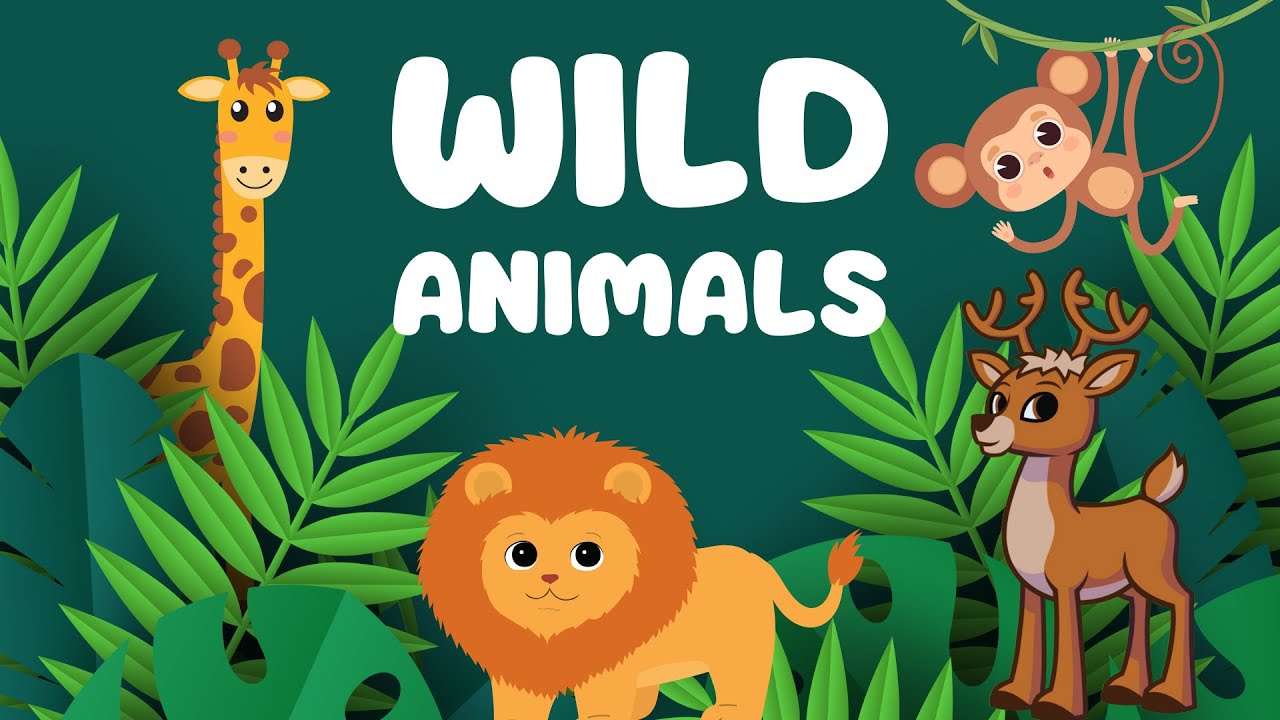 Amazing Adventures with Wild Animals | Fun & Educational Animation for ...