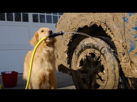 Handwash | Subaru Outback Wilderness Dog Tested TV Commercial