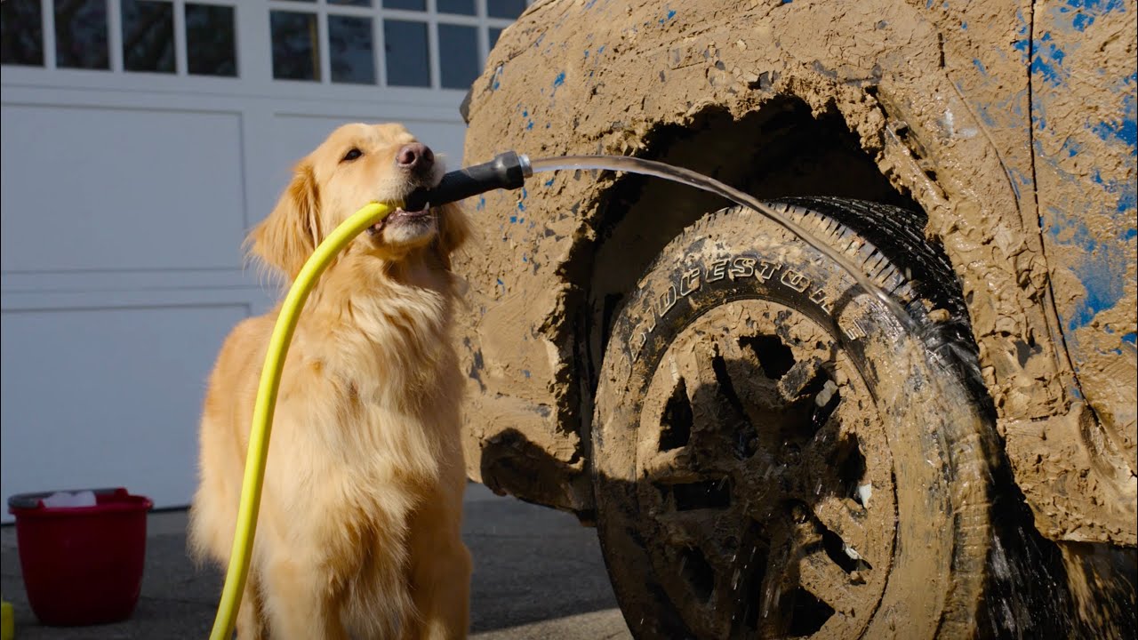 Handwash | Subaru Outback Wilderness Dog Tested TV Commercial - YouTube