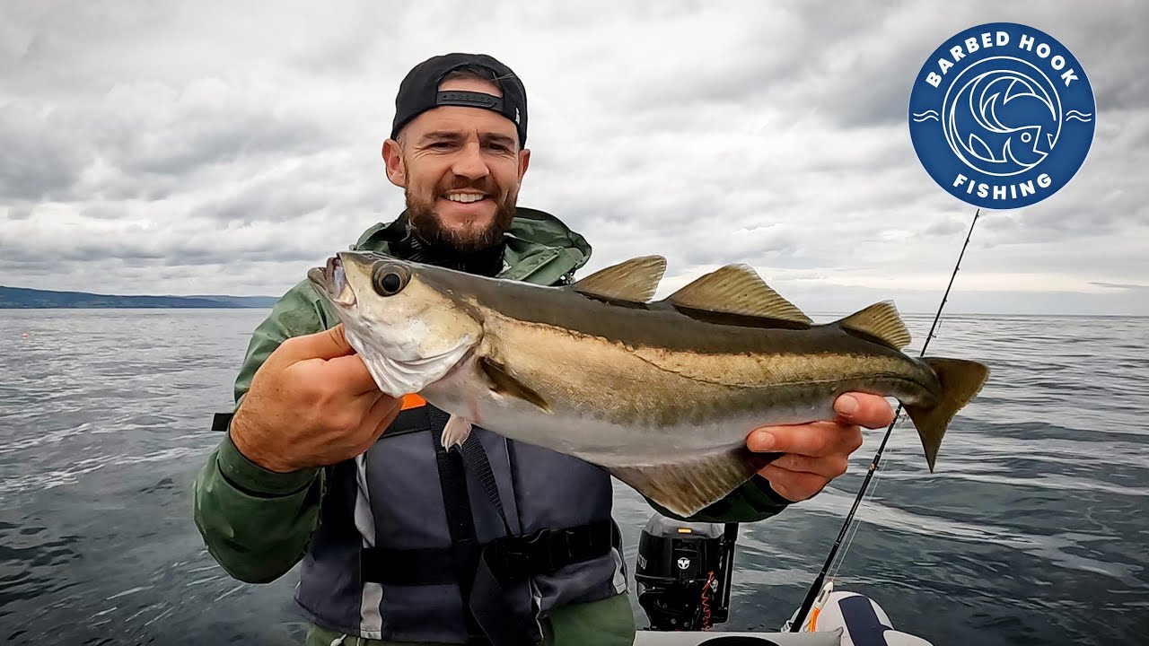 Catch & Cook Pollack Fishing - YouTube