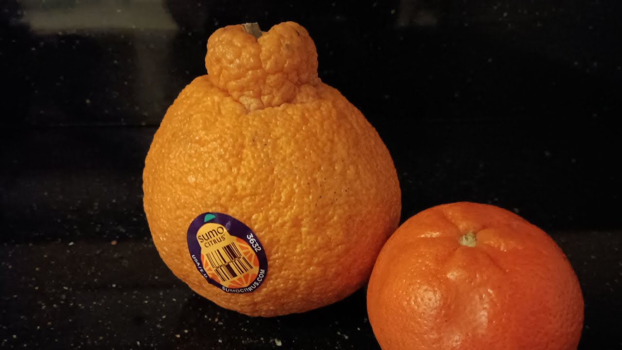 Something In The Orange by Zach Bryan (Cover by Free) - YouTube