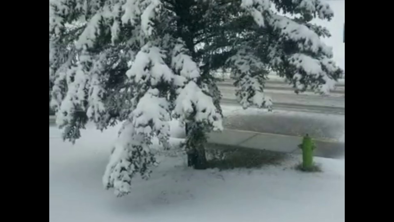 Heavy Snow . Red Deer . AB - YouTube