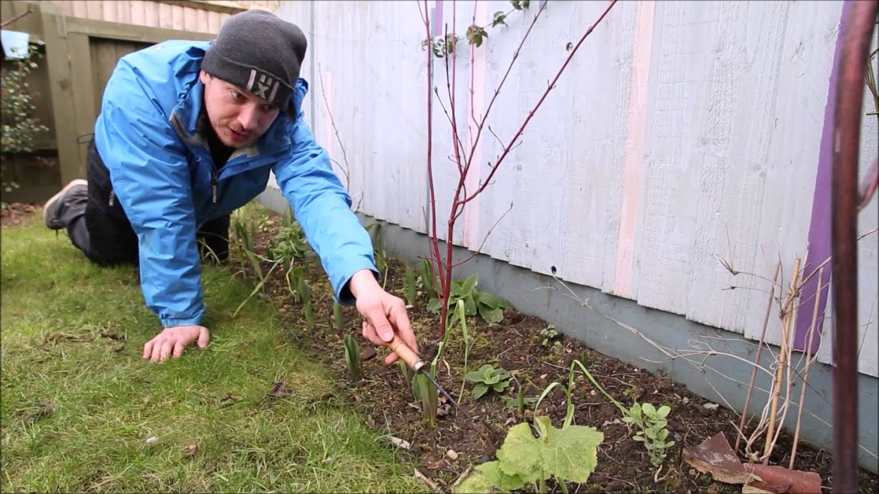 The Basics of Weeds and Weeding - YouTube