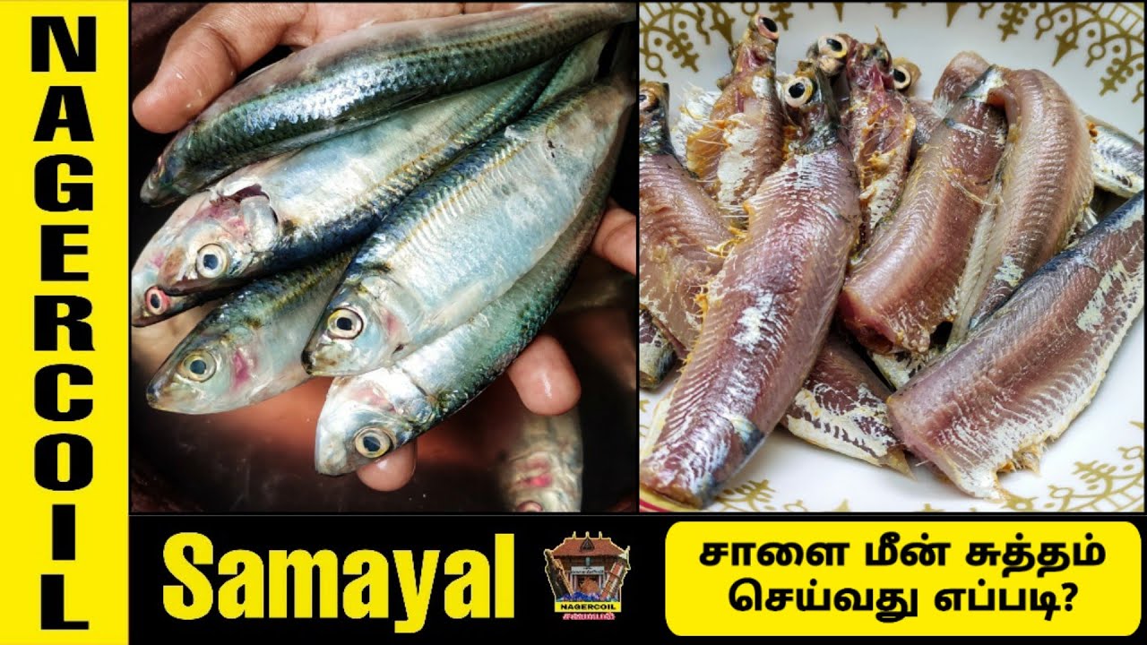 How To Clean Chalai Fish | சாளை மீன் சுத்தம் செய்வது எப்படி | Nagercoil ...