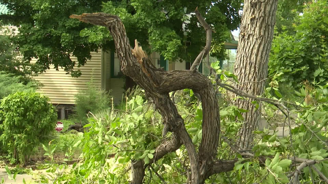 Strong storm downs trees, leads to power outages in Helena - YouTube