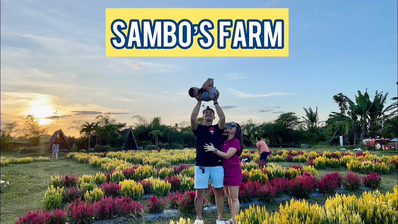 WEEKEND AT SAMBO’S FARM - YouTube