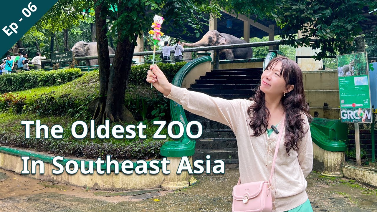 [EngSub] 🇲🇲 Visiting to One of the Oldest Zoos in Southeast ASIA and ...