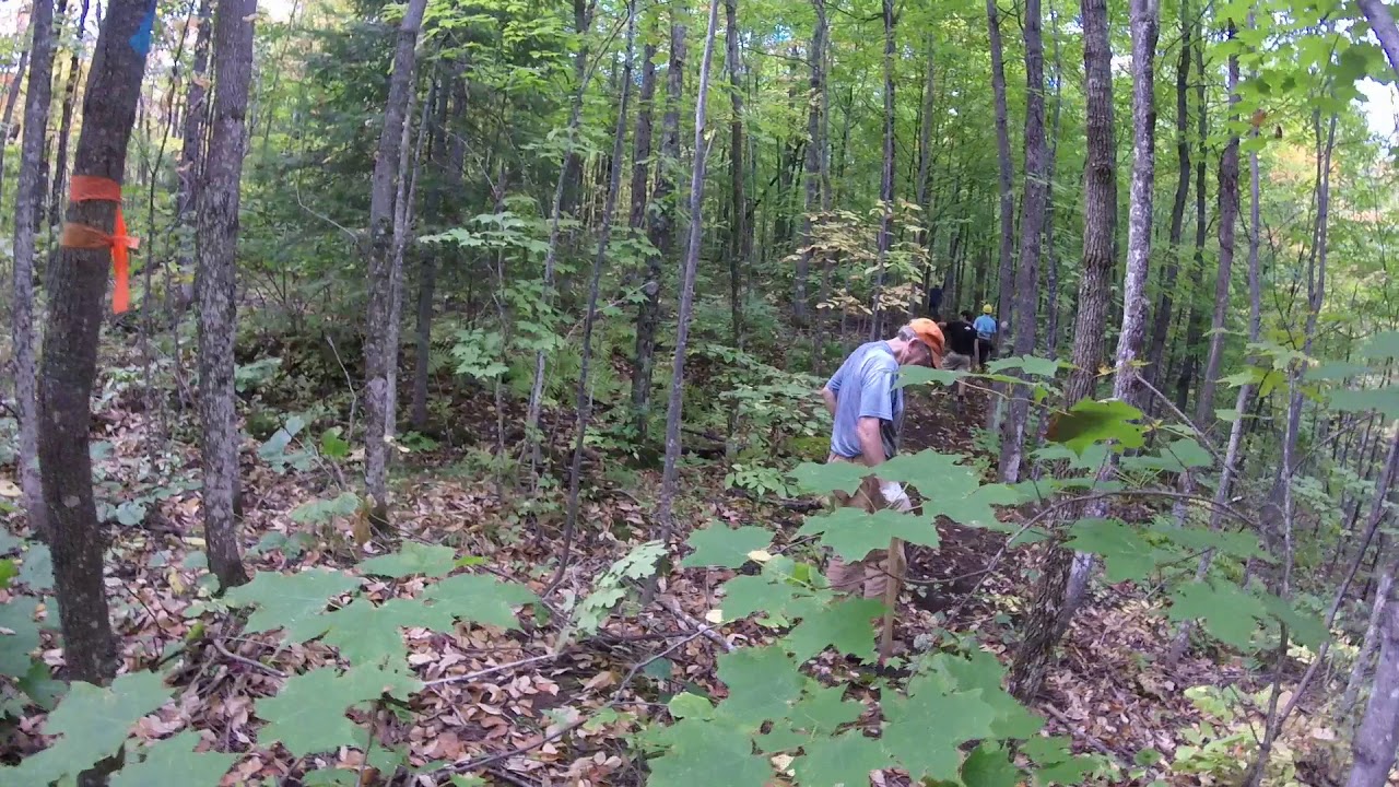 Widowmaker tree on the trail - YouTube