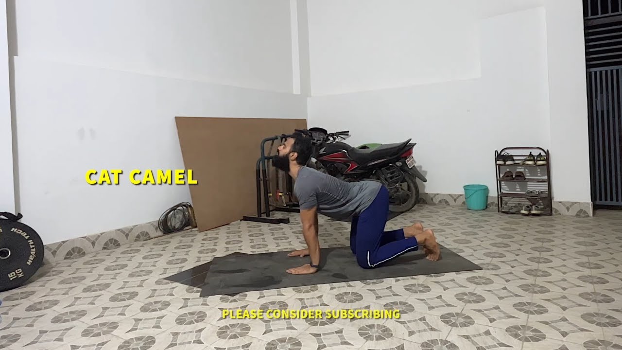 How to do Cat Camel exercise properly #exerciselibrary # ...