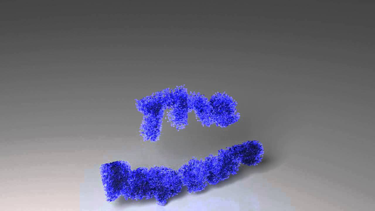 The Rapture Animation - YouTube