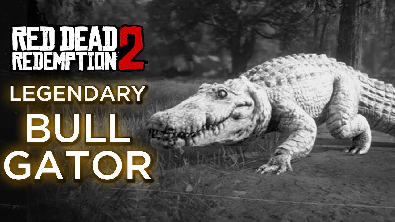 Red Dead Redemption 2 Legendary Bull Gator Hunt Walkthrough and Rewards ...
