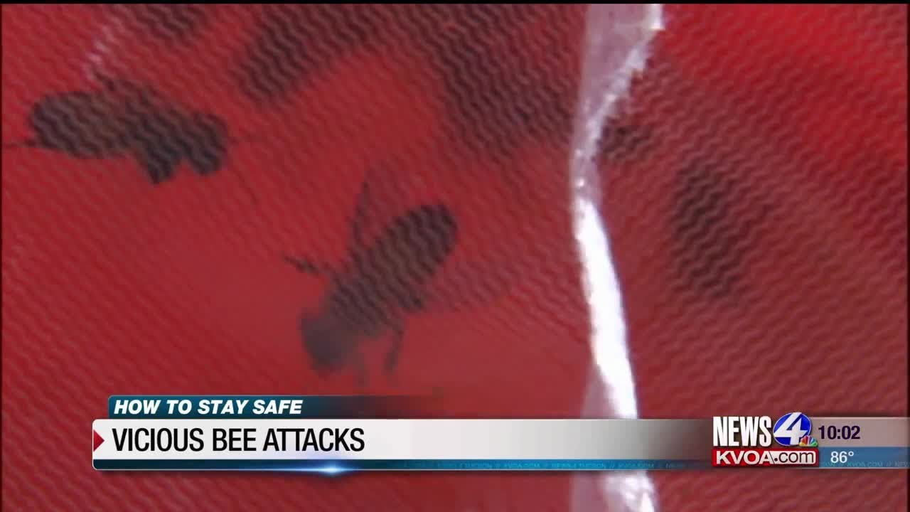 How to handle a bee attack - YouTube