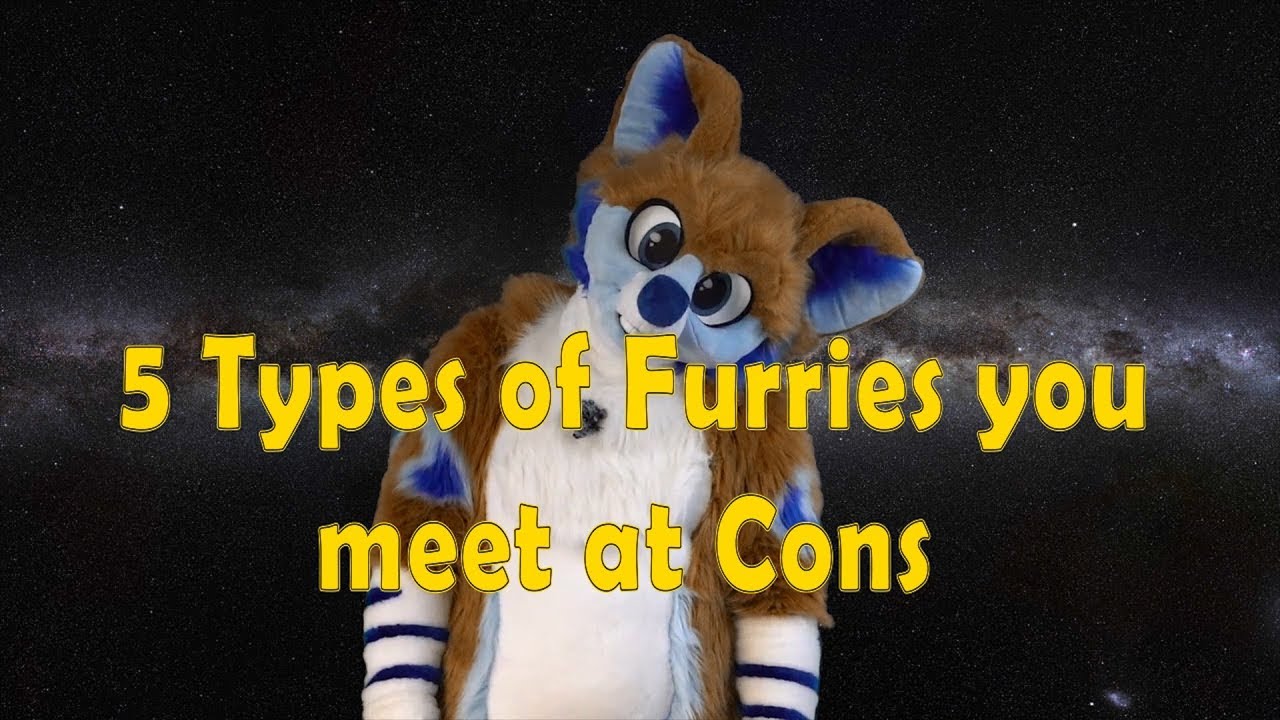5 Types Furries you meet at conventions - YouTube