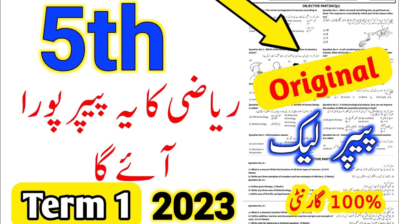 5th class Math paper pec assessment base 1st term 2023 ||5th class ...