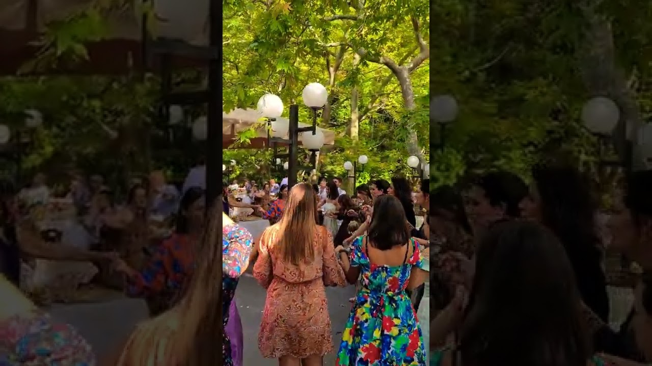 Ξέφραγο Αμπέλι. Ταβερνα Ο Πλάτανος Στενη Ευβοιας - YouTube