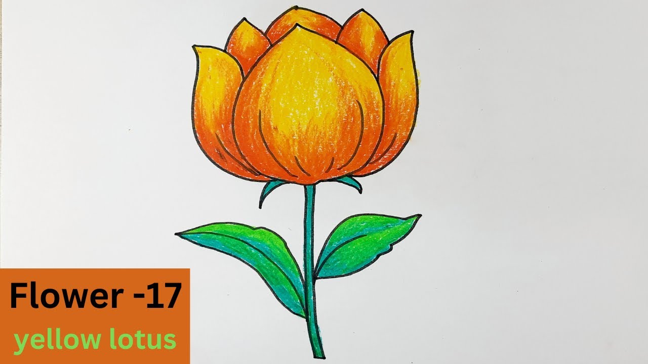 yellow lotus drawing/ easy lotus tutorial/ tutorial for kids/ how to draw yellow lotus/ flower17 ...