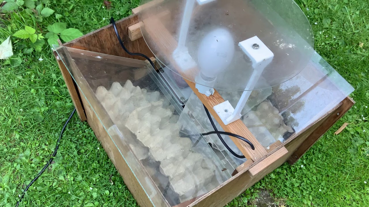 Surprise in the moth trap - YouTube