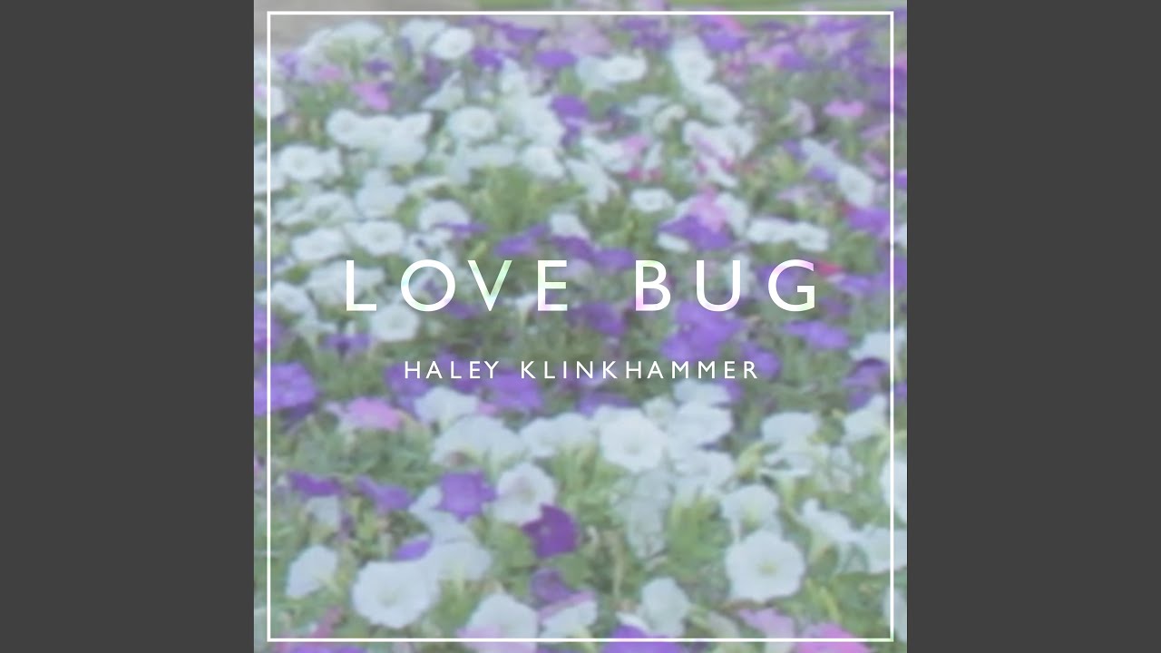 Love Bug - YouTube