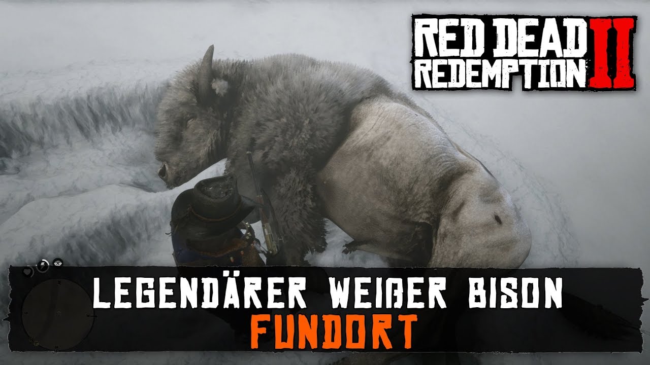 Red Dead Redemption 2 - Legendärer Weißer Bison - Fundort - YouTube