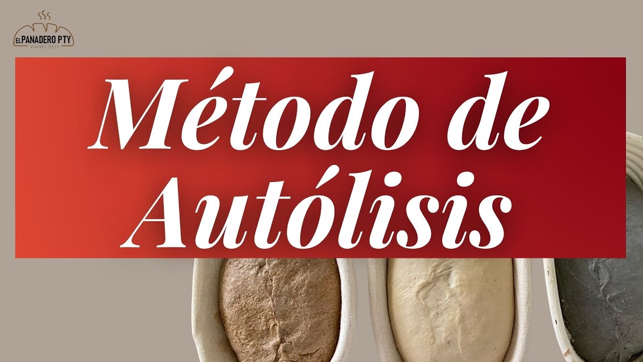 Método de Autólisis - EL PANADERO PTY - YouTube