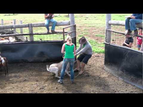 Me and my team catching a goat - YouTube