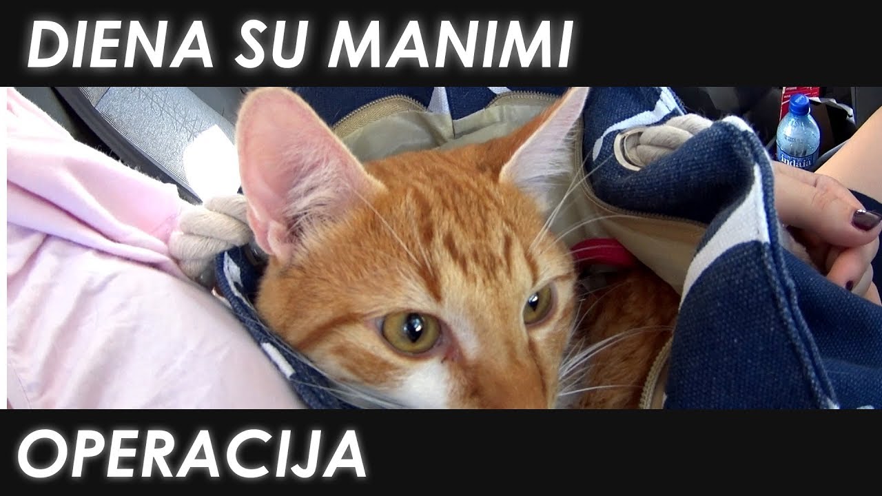 DIENA SU MANIMI: OPERACIJA | Justes Grozio Kanalas - YouTube