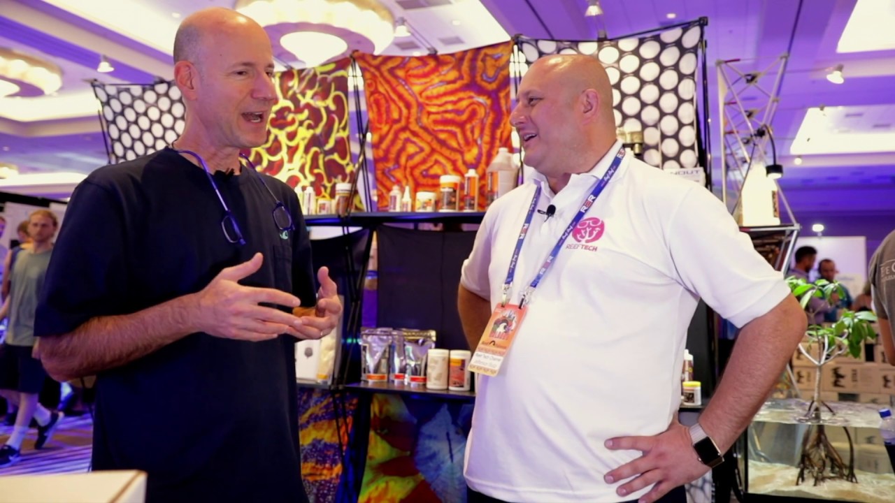 Reef A Palooza 2019 - Entrevista Julian Sprung - YouTube