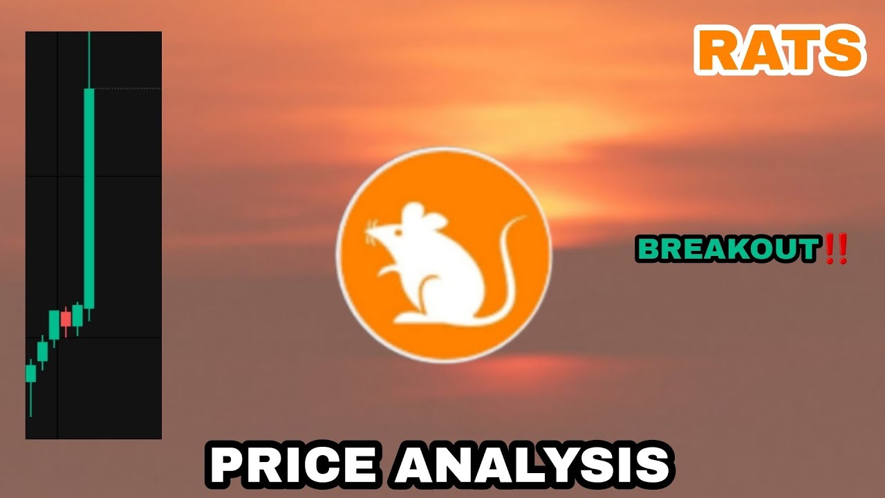 RATS COIN BREAKOUT COMING IN DECEMBER 2023 RATS (ORDINALS) PRICE ...